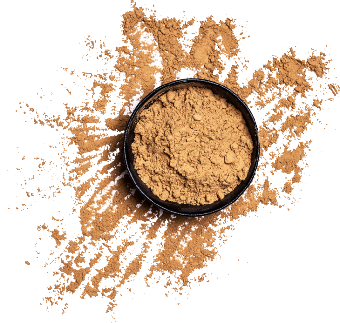 NORTH GUJARAT SAT-ISABGUL PVT LTD | Khakha Powder